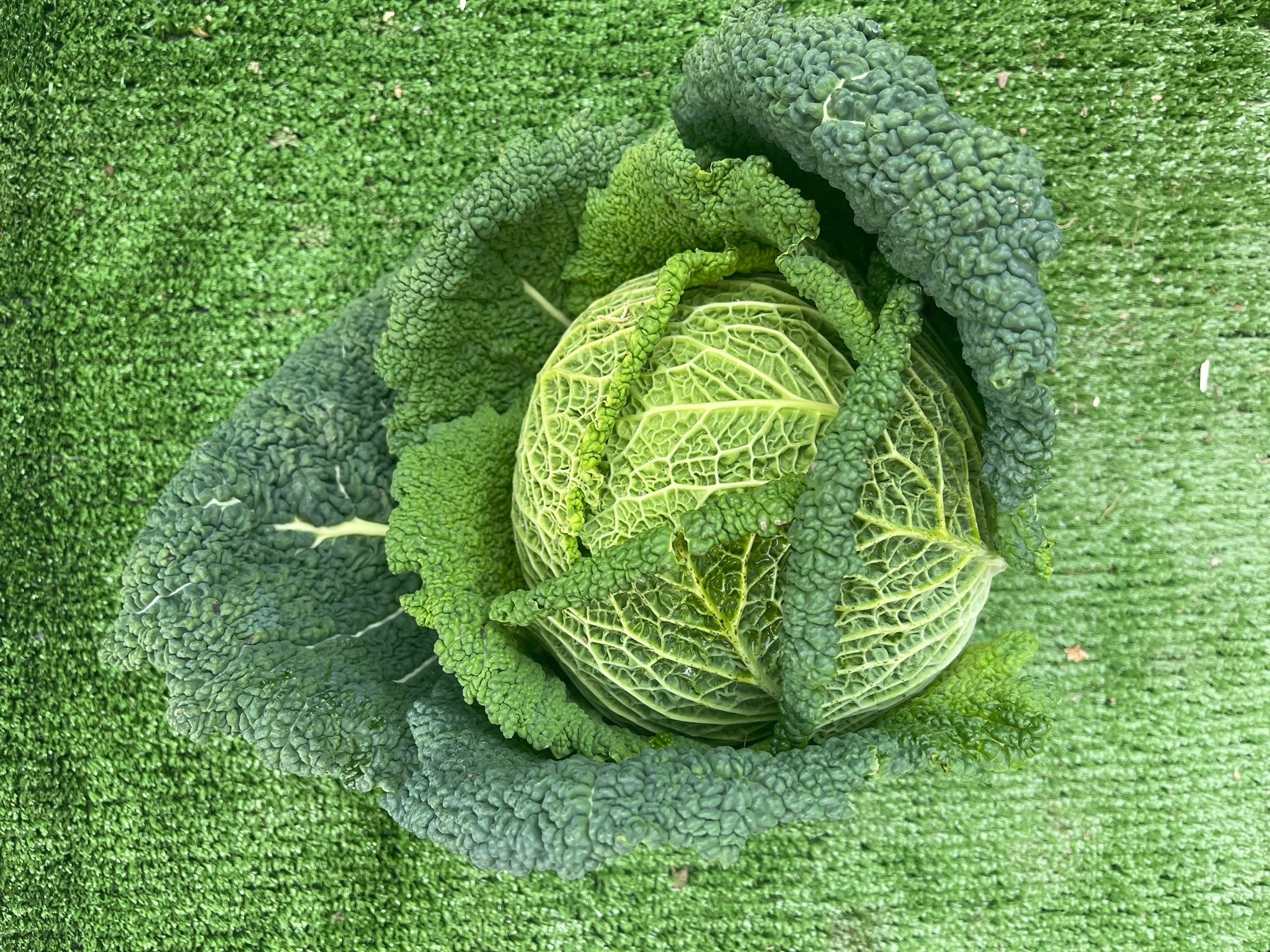 Norfolk Fruit & Veg – Blofield Farm Shop